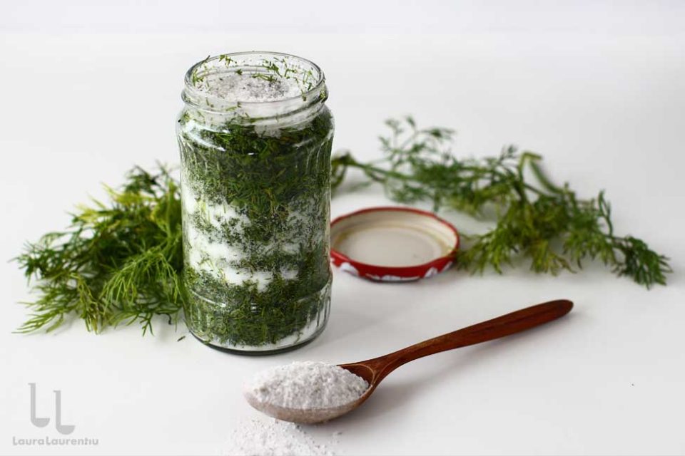 Mărar pentru iarnă - trei abordări pentru conservarea mărarului